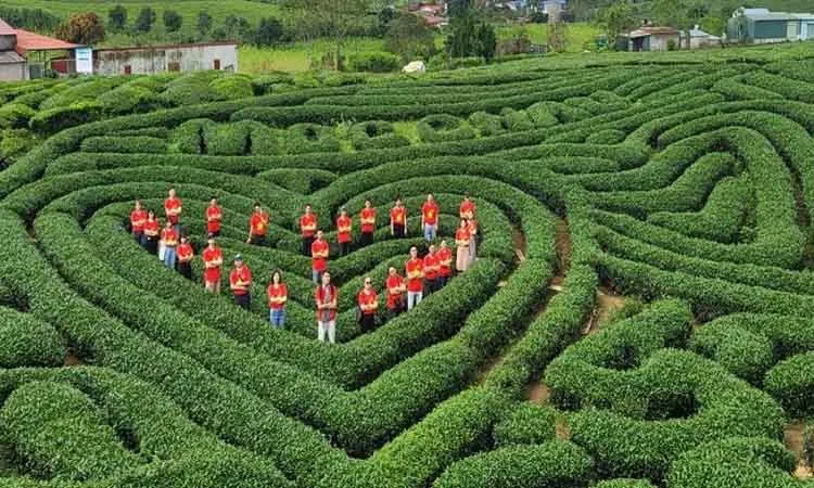 Explore The Beauty Of Moc Chau, Son La | BDATrip